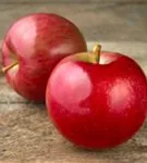 Malus domestica 'Idared', Apfel 'Idared' - Baumschule Ley
